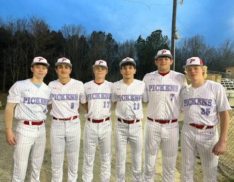 Baseball | Pickens Academy